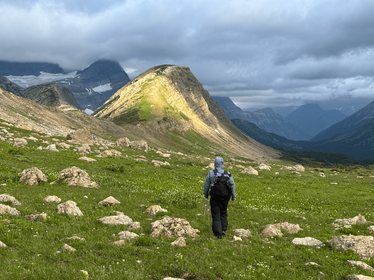 Great Divide Route – Rooted in the wild